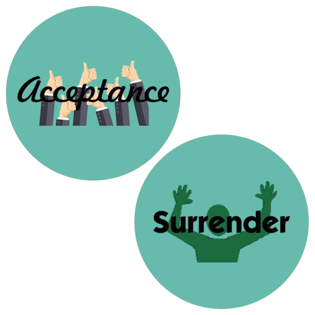 Inspiration Chips – Chipmunk AA Sobriety Coins